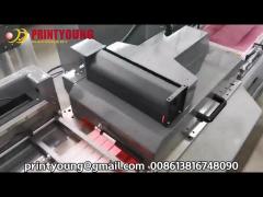 PRY-2001 Automatic One Color Ribbon Label Silk Screen Printing Machine