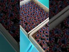 IP68 onderwater Anti Zoute Kristallisatie 30M van de Robot Waterdichte Brushless Motor Depth