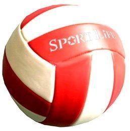 China High Quality Volleyball Official Size, Machine & Hand Sewing Sports Ball for sale