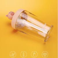 China Biodegradable Silicone Straw Water Bottle for sale