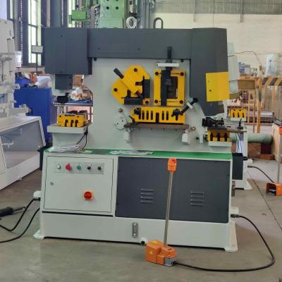 Cina Q35Y-20 Punzonatrice combinata idraulica e cesoia 20mm Piastra in lamiera multifunzionale in vendita