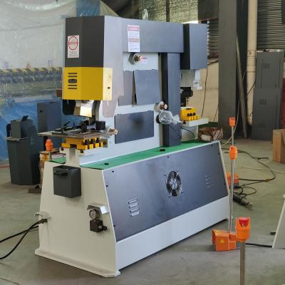 Cina Q35Y-20 Punzonatrice combinata idraulica e cesoia 20mm Piastra in lamiera multifunzionale in vendita
