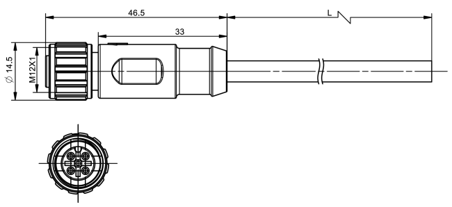 M12 Connector with 3 Pin Unshielded Cable