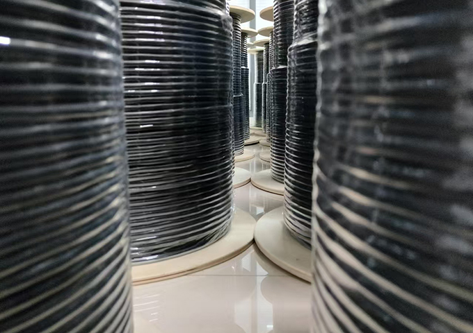 Ethernet Cable