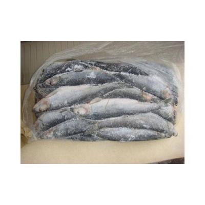 China Cold Chain Air Shipping From World to China for sale