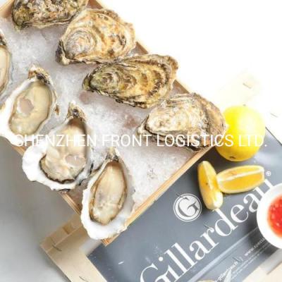 China Logistics Transport Service for Fresh Goods From New Zealand to China for sale