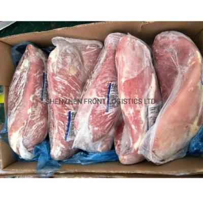 China Frozen Food Ocean Shipping Service From Spain to China Shenzhen Guangzhou Hong Kong for sale