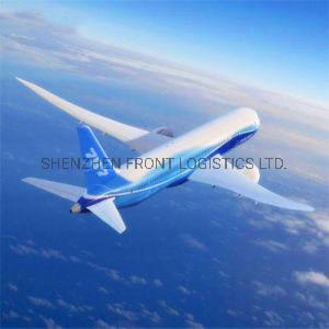 China Cold Chain Air Shipping From Shenzhen to Buenos Aires Airport for sale