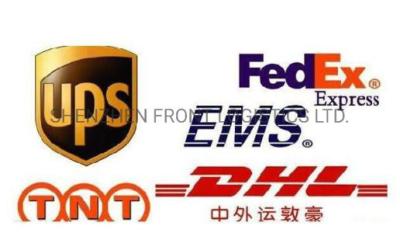 China Cheapest Air Shipping /Transport Express Service China Delivery to Firenze for sale