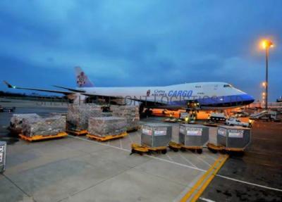 China Shipping Agent Service by TNT DHL FedEx UPS to Kyoto, Kobe, Fukuoka, Kawasaki, Japan for sale