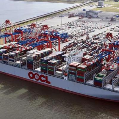 China Sea Shipping Import and Export From China for sale