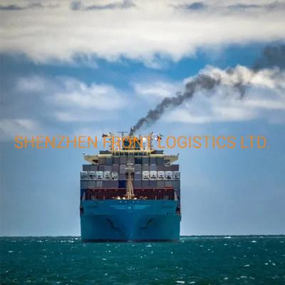 China Sea Freight From China to Singapore for sale