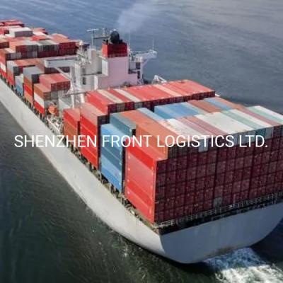 China Sea Freight / Ocean Freight From China to Belgium for sale