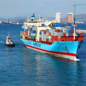 China Shipping/Ocean Freight/Logistics From All Ports of China to Paris, Marseilles, Lyon, Toulouse, France for sale