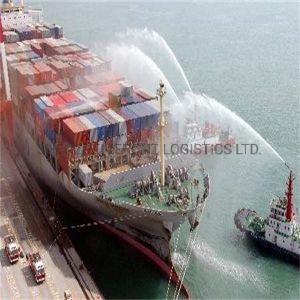 China Freight Sea-Fba Shipping Form China to USA USA UK Australia Europe Canada Freight Forwarder Shipping Rates From China to USA/Forehead Thermometer for sale