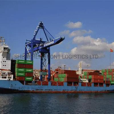 China China Sea Shipping Service From Shanghai to Pasir Gudang Malaysia for sale