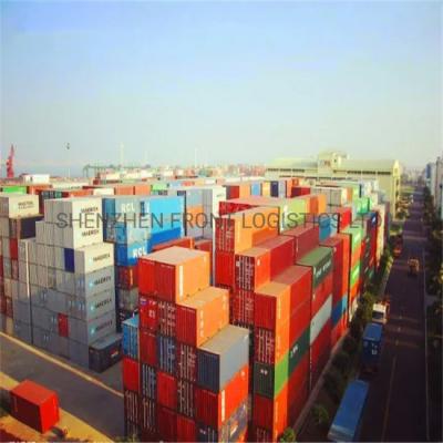China Sea Freight Sea Cargo Shipping From China to Gdynia, Poland for sale