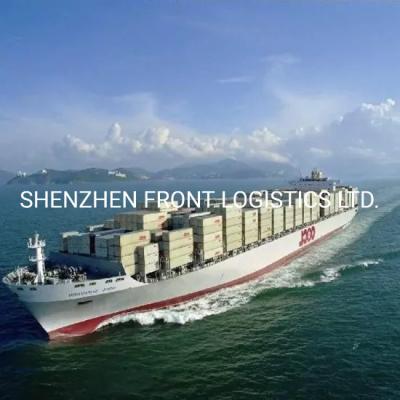 China Sea Freight Cargo Shipping From Shenzhen Guangzhou to Algiers, Annaba, Arziw, Bejaia, Algeria for sale