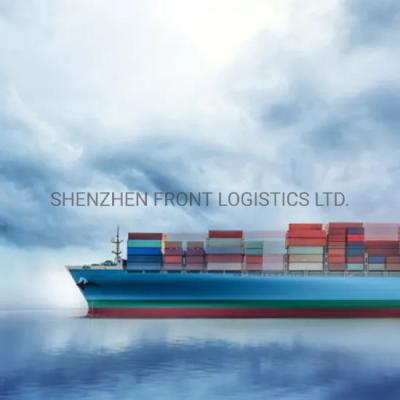 China Professional Sea Freight Cargo Logistics From China to Valencia Spain for sale