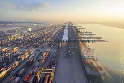 China FCL/LCL Shipping Service to Australia for sale
