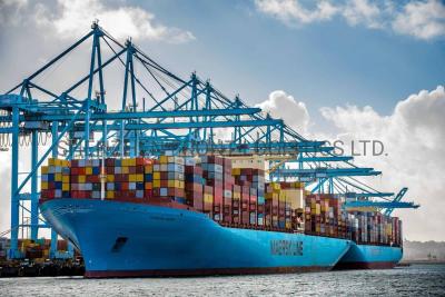 China Best Sea Freight Rates Shenzhen to Pakistan for sale