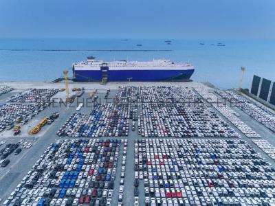 China Shipping/Ocean Freight/Logistics From All Ports of China to Bordeaux, Strasbourg, Nantes, Lille, France for sale