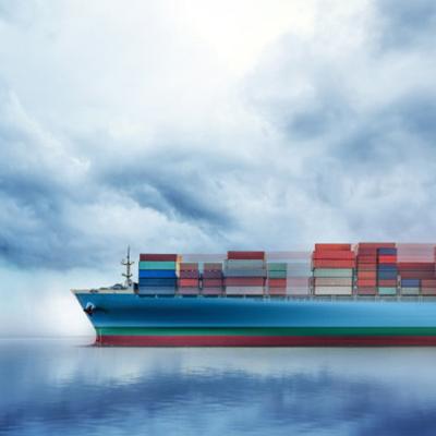 China Services FCL LCL Shipping Door Delivery Service to Very Cheap Freight by Sea From Shenzhen to Vietnam Da Nang /Hai-Phong /Hanoi /Hongay Sea Port for sale