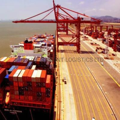 China Ocean Freight From China to Bonn, Braunschweig, Celle, Chemnitz, Cuxhaven, Darmstadt, Dortmund, Dresden, Duesseldorf for sale
