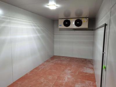 Cina celle frigorifere commerciali bianche 0.8mm frigorifere del refrigeratore 0.6mm Colorbond della cella 220-380V in vendita