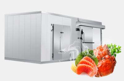 Cina Freddo dei frutti di mare 42KG/M3 e stanza d'acciaio 1.5mm di conservazione frigorifera della frutta delle stanze 1.0mm del congelatore in vendita