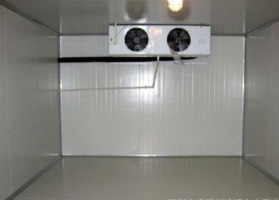 Cina Freddo di 380V 220V e stanza ad angolo retto delle stanze 2,8 * 3,0 * 2.6M Walk In Freezer del congelatore in vendita