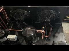 Unità di refrigerazione della stanza del congelatore di HFC R404a ZSI09KQE 3HP -23℃ a bassa temperatura