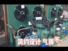 Unità di condensazione raffreddata ad aria di marca 4NES-14Y R404a Refrigertion della Germania  per il sistema di refrigerazione della cella frigorifera