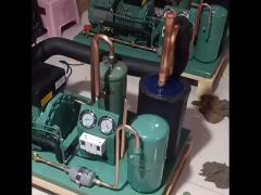 Germany  brand 4VES-10Y (10HP) R404a Air-Cooled Refrigertion Condensing Unit for Cold Room Refrigeration system