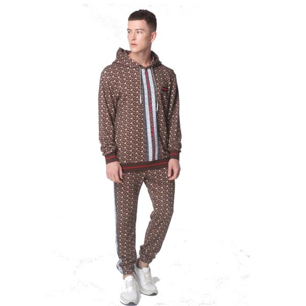 Quality Regular Sleeve Hooded Collar Cotton Sweatshirt And Sweatpant Sets Custom Logo for sale