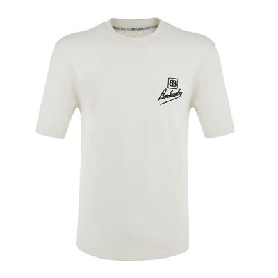 China Men's Casual 100% Cotton 250 Gsm Oversized Fashion Essential Short Sleeve T Shirt Custom Puff Embroidered for sale
