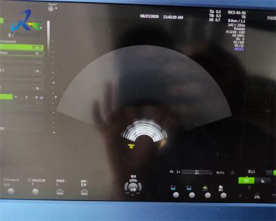 中国 GE RIC5-9A-RS 3D 4D Endocavityの超音波のトランスデューサーのドームおよび水晶配列の取り替え 販売のため