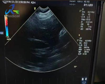 Cina Micro cavo e Crystal Array Replacement convessi della sonda del trasduttore di ultrasuono di GE 8C-RS in vendita