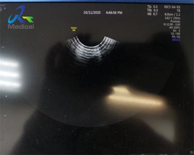 中国 GE RIC5-9A-RSの超音波のトランスデューサーの水晶配列およびドームの取り替え4Dおよび回路の修理 販売のため