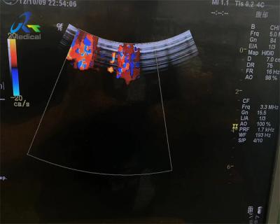 Cina Trasduttore convesso Miantenance di riparazione della sonda di ultrasuono di GE 4C in vendita