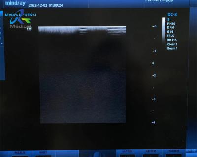 China Mindray L14-6NE ultrasone transducersonde Vervang kristalarray voor endocaviteit Te koop