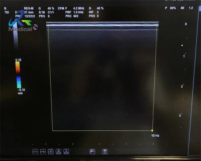 Cina Biosound Biosound SL1543 Linear Array Ultrasound Probe Repair Sostituire lente e cristallo in vendita