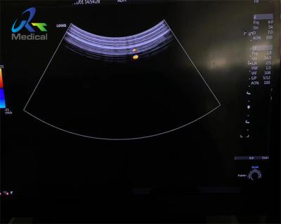 China GE C1-6-D Convex Array Ultrasound Probe Manutenção do transdutor Alívio de tensão e substituição do cabo conector à venda