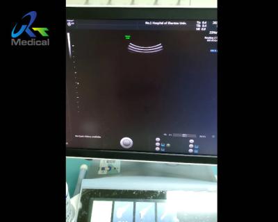 Cina Immagine di ultrasuono senza bordo di Echo Ultrasound Machine Repair Replace RFM in vendita