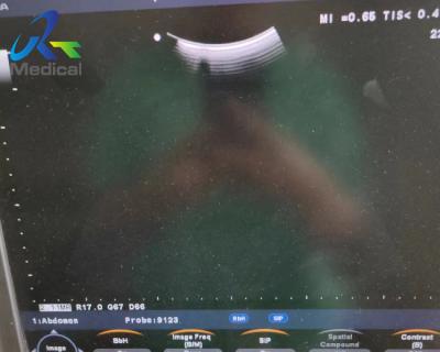 Cina Aloka UST-5299 Ultrasuoni trasduttore sonda sostituire soluzioni cristalline in vendita