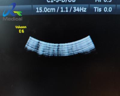 Cina GE C1-5-D Ultrasound Probe Repair Crystal Replacement in vendita