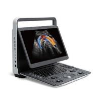 China Panoramic Imaging SonoScape E2 PRO Portable Ultrasound Machine for sale