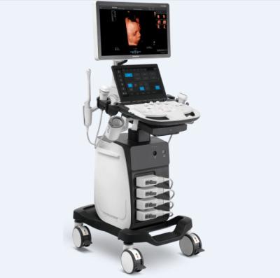 Cina elite di Sonoscape Echo Machine P11 del carrello 5D con 4 connettori del trasduttore in vendita