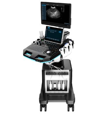 Cina Macchina veterinaria portatile di ultrasuono di Manica ergonomico della console 64 per gli animali in vendita