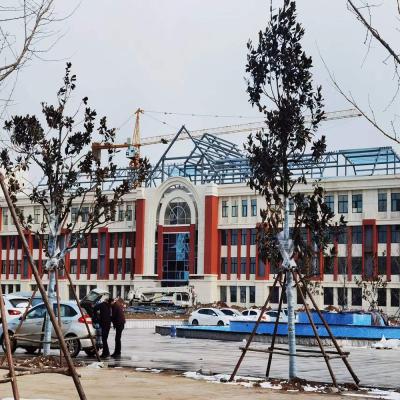 中国 スタイリッシュ・ストラクチャー プリファブビルディング 建設 プリファブリック・スタイリッシュ・ストラクチャー 建物 販売のため